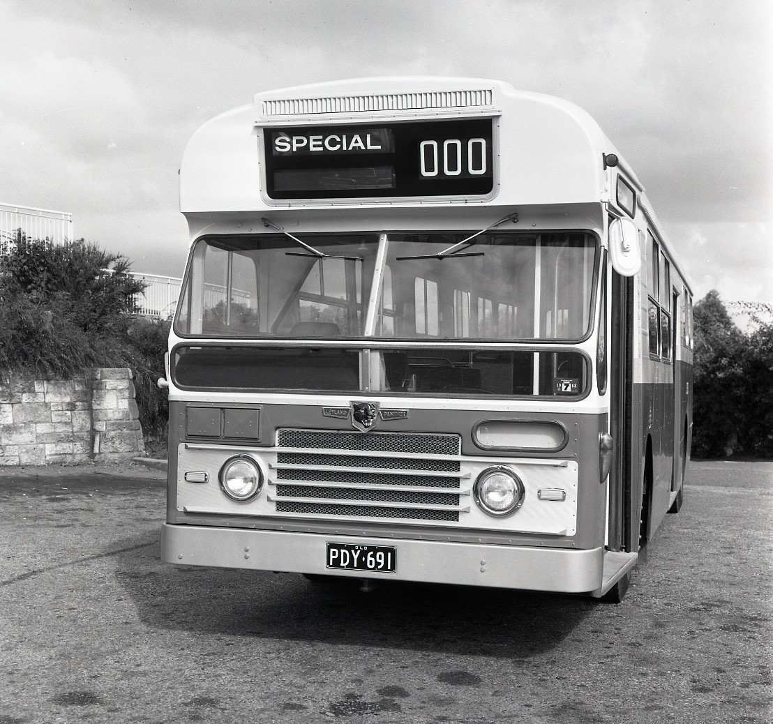 Brisbane’s Leyland Panthers – Queensland Omnibus & Coach Society Inc.